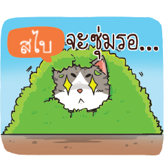 SBI cheeky cat – LINE stickers | LINE STORE