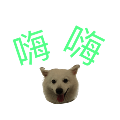 Lun Lun Life - LINE スタンプ | LINE STORE