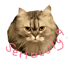 Mikey -_- - Stiker LINE | LINE STORE