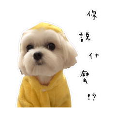 Money Bae – LINE stickers | LINE STORE