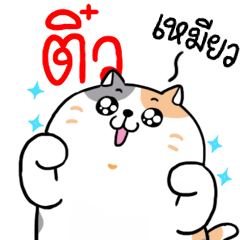 I am TEW : Meow 1 - Stiker LINE | LINE STORE