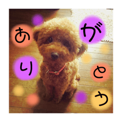 love moco ! - LINE スタンプ | LINE STORE