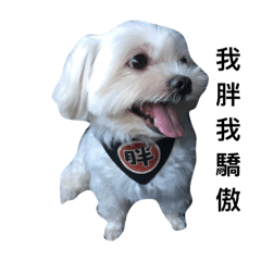 DIDI DOG Daily life – LINE stickers | LINE STORE