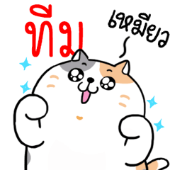 I am TEAM : Meow 1 – LINE stickers | LINE STORE