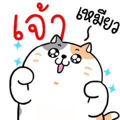 I am CHAOW : Meow 1 - LINE スタンプ | LINE STORE
