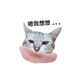 Im Uddy - LINE スタンプ | LINE STORE