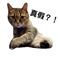 Lekao Talks 2 - Stiker LINE | LINE STORE