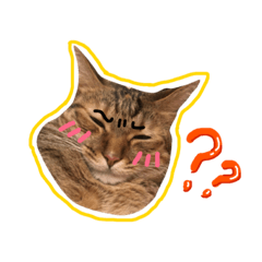 Who cares Hu cat??? – LINE stickers | LINE STORE