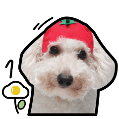 Choco & Friends - LINE スタンプ | LINE STORE