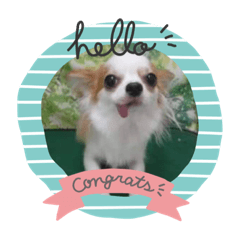 Life is wonderful maybe - Stiker LINE | LINE STORE