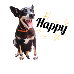 Happy selling cute everyday – Stickers LINE | LINE STORE