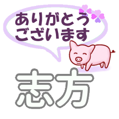 Shikata's.Conversation Sticker. - Stiker LINE | LINE STORE