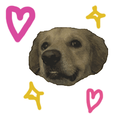 doggo dogs - Stiker LINE | LINE STORE