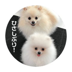 harry&haney 2 – Stickers LINE | LINE STORE