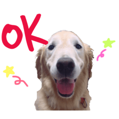 piaget - Stiker LINE | LINE STORE