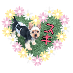 mocoro - Stiker LINE | LINE STORE