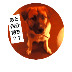 pappy dog - Stiker LINE | LINE STORE