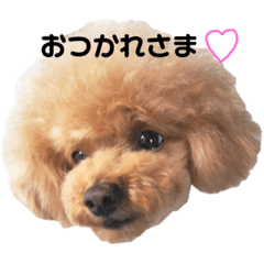 chuchan stamp - Stiker LINE | LINE STORE