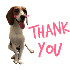 Judy life – LINE stickers | LINE STORE