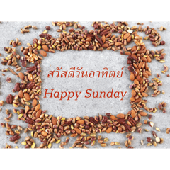 Hello every day every time – LINE stickers | LINE STORE