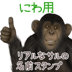 Niwa Monkey's real name Sticker - Stiker LINE | LINE STORE