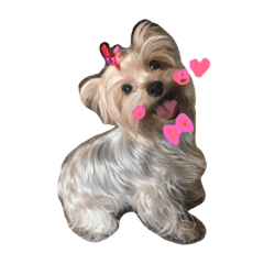 Chi_20181003164149 – LINE stickers | LINE STORE