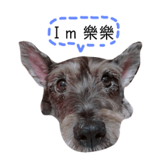 Zhao Ruo Ci – Stickers LINE | LINE STORE