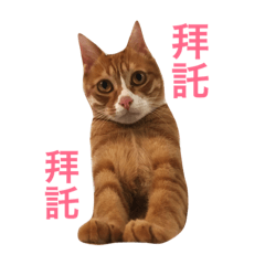 miffy LINE stickers | LINE STORE