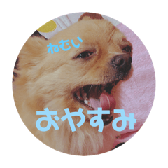 meritan_20181019193047 - Stiker LINE | LINE STORE