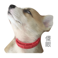 Lazy boy_20181022161029 – LINE stickers | LINE STORE