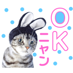 sima-sima neko_20181028220828 – LINE stickers | LINE STORE
