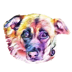 Wufu Family Life – LINE stickers | LINE STORE