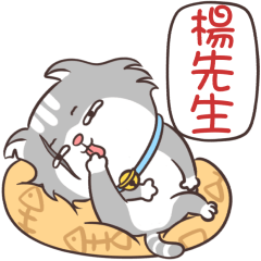 MeowMeow Name Mr.Yang – LINE stickers | LINE STORE
