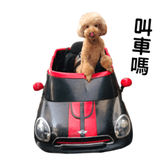 Shen Yu Han_20181103041142 – LINE stickers | LINE STORE