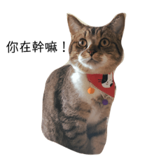 Wendy_20181106172425 – Stickers LINE | LINE STORE