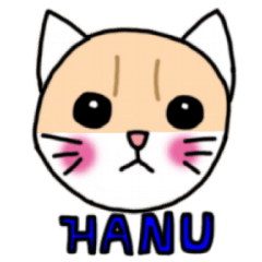 HANU CAT – Stickers LINE | LINE STORE