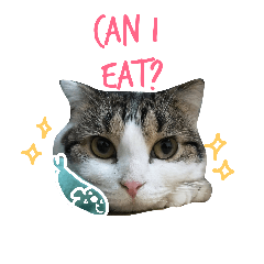 Cute green cat is pretty – LINE stickers | LINE STORE