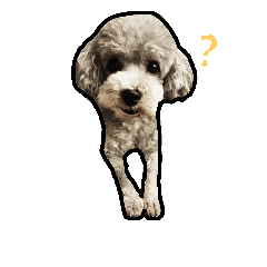 Gray dog Qq - Stiker LINE | LINE STORE