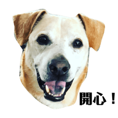 BAW_20181128013835 – LINE stickers | LINE STORE