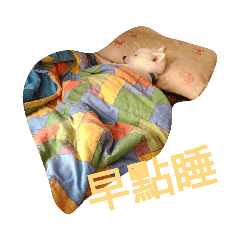 Ball Bo – Stickers LINE | LINE STORE