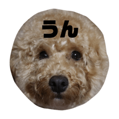 malu_0329 – LINE stickers | LINE STORE