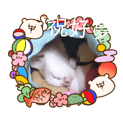 shin family - Stiker LINE | LINE STORE