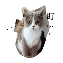 Vicky_20181124213401 - Stiker LINE | LINE STORE