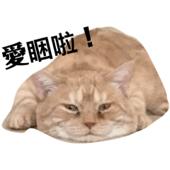 Jerry_20181208140350 - Stiker LINE | LINE STORE