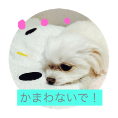 Sarang omma_chocola – LINE stickers | LINE STORE