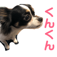 yuri_20181217230729 – LINE stickers | LINE STORE