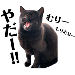 yuko.k_20181222230348 - Stiker LINE | LINE STORE