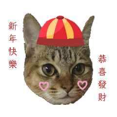 Ruru_20181228233856 – LINE stickers | LINE STORE