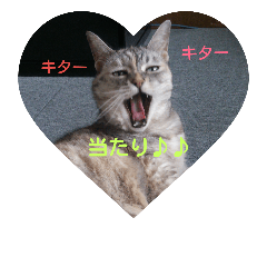 kikim_ - Stiker LINE | LINE STORE