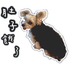 Jim_ - LINE スタンプ | LINE STORE